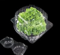 China Customized Design Recyclable PET Plastic Blister Packaging with Heat Sealing for Fruit Packaging Box for sale