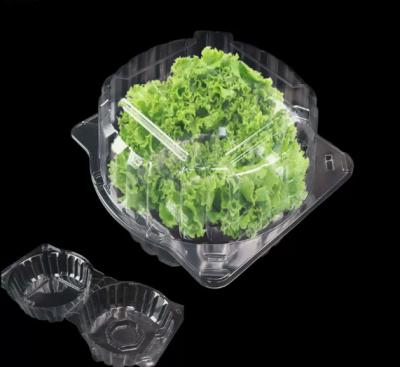 China Customized Design Recyclable PET Plastic Blister Packaging with Heat Sealing for Fruit Packaging Box for sale