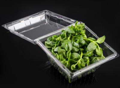 China Customized Design Recyclable PET Blister Packaging with Heat Sealing for Transparent Fruit Packaging Box for sale