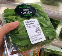China Customizable Recyclable PET Box for Fresh Vegetables and Fruits with Thermoforming Transparent Packaging for sale