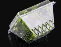 China Customized Design Recyclable PET Blister Packaging with Heat Sealing for Transparent Fruit Packaging Box for sale