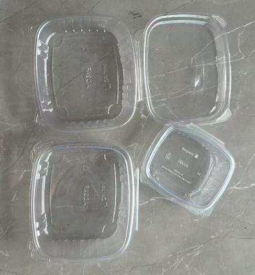 China Customized Design Recyclable PET Heat Sealing Fruit Packaging Box for Tomato and Blueberry for sale