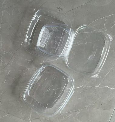 China Customized Design Recyclable PET Heat Sealing Fruit Packaging Box for Tomato and Blueberry for sale