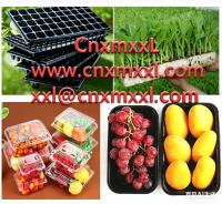 China Customized Design Recyclable PET Heat Sealing Fruit Packaging Box Plastic Blister Packaging for sale