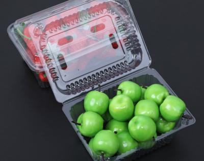 China Customized Design Recyclable PET Heat Sealing Fruit Packaging Box Plastic Blister Packaging for sale