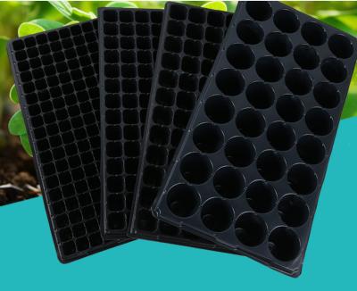 China 105, 128, 200 seedling trays, seedling holders, plastic seedling trays  seedling tray  seed starter tray   seedling starter tray for sale