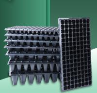 China Wholesale rectangular multi-hole seedling trays for vegetables, succulents, and cuttings, thickened nursery trays for sale