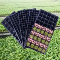China Seedling tray, cell trays, tray planters, seedling pots, seedling cups, seedling boxes - all for multi-functional seed and seedling cultivation of vegetables and sprouts. for sale
