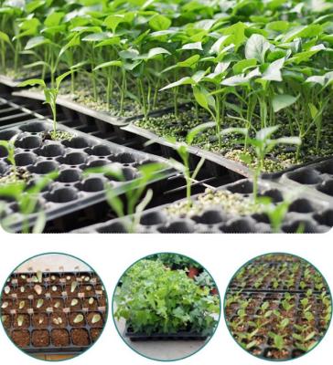 China Seedling tray, cell trays, tray planters, seedling pots, seedling cups, seedling boxes - all for multi-functional seed and seedling cultivation of vegetables and sprouts. for sale