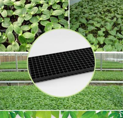 China Seedling tray, cell tray, support frame, seedling tray, chili seedling tray, seedling tray,seedling tray for seedling cultivation, ultra-thick corn and sorghum tray, thickened seedling tray, ultra-thi for sale
