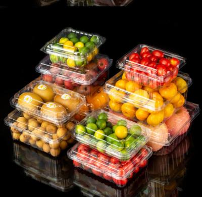 China One-time thickened with lid fruit and vegetable box, fruit box, household takeout, supermarket packaging plastic transparent box, fresh produce box for sale