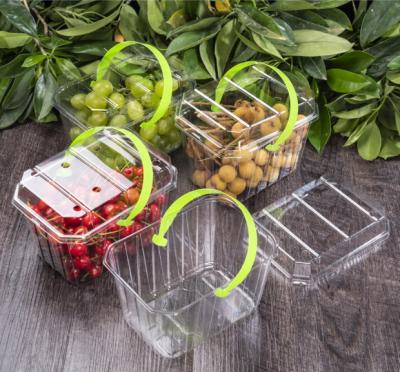 China Single-use dried fruit packaging box, plastic transparent sweet potato dried nut box, supermarket takeout sealed box, food packaging box for sale