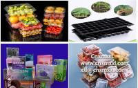 China Transparent Eco-Friendly Customizable Macaron Plastic Tray for Food Packaging for sale