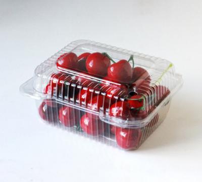 China produces fruit tray packaging, meat packaging boxes, vegetable packaging boxes, seedling trays, plastic flower pots, fast food boxes, as well as PVC, PP, PET transparent boxes and printed boxes. for sale