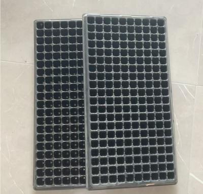 China plant propagation tray,germination tray,seeding tray,cell seed tray,greenhouse tray,seed plug tray for sale