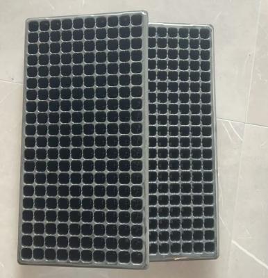 China greenhouse tray,seed plug tray,nursery plug tray,hydroponic seed tray,vegetable seed tray for sale