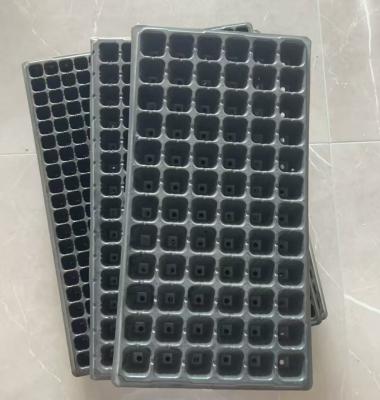 China 72 cell tray,105 cell tray,128 cell tray,200 cell tray,hole seed tray, for sale