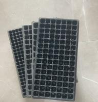 China thickened seed tray,standard nursery tray,rigid plug tray,multiple cavity tray,uniform cell tray,flat seed starting tray,PS plastic seed tray,PVC nursery tray for sale