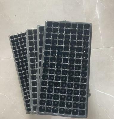 China thickened seed tray,standard nursery tray,rigid plug tray,multiple cavity tray,uniform cell tray,flat seed starting tray,PS plastic seed tray,PVC nursery tray for sale