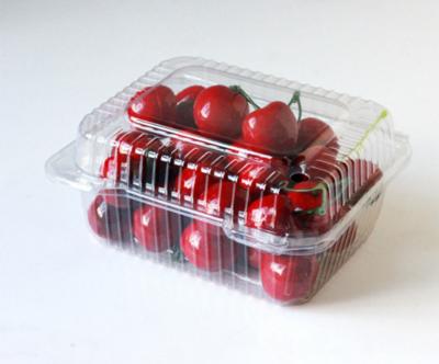 China vacuum blister packaging clear disposable blister vented fruit box  ventilation holes container anti‑crush fruit packaging for sale