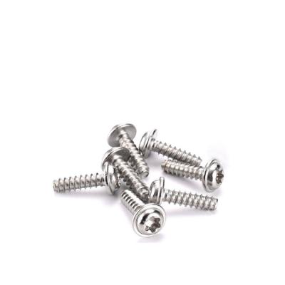 China Stainless Steel Self Tapping Screw Phillips Pan Head ISO9001 7-25 Days Delivery for sale