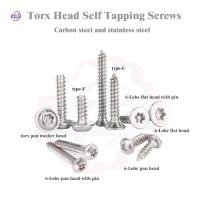 China Custom Carbon Stainless Steel Self Tapping Screws M2.5 Black Torx Flat Tail for sale