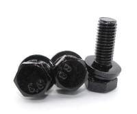 China Assorted M4-M12 Grade 8.8/10.9/12.9 Hex Bolts with Spring Lock Plain Washer Assemblies for sale