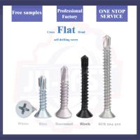 China DIN7504 Hexagon Self Drilling Screw for Roofing Customized Service Steel Stainless Steel for sale