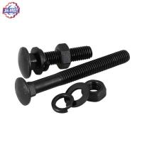 China M4 M5 M6 M10 M12 Carriage Bolts Square Neck Round Cup Head Steel Stainless Steel for sale