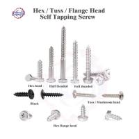 China 100% Inspection Stainless Steel 304 Self-Tapping Screws for Custom Customization for sale