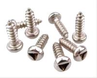 China Galvanized 304 Stainless Steel Pan Head Self Tapping Screws DIN 7981 Plain Finish for sale