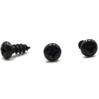 China Metric Carbon Steel Black Phillips Pan Head Self Tapping Screw M2 M3 M4 for Plastic for sale