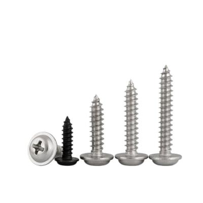China M2.5 Stainless Steel 304 Pan Head Self-Tapping Screw DIN7981 for Sheet Metal Sizes 6-12 for sale