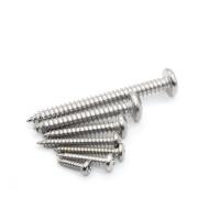 China M2.5 Stainless Steel 304 Pan Head Self-Tapping Screw DIN7981 for Sheet Metal Sizes 6-12 for sale