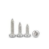 China M2.5 Stainless Steel 304 Pan Head Self-Tapping Screw DIN7981 for Sheet Metal Sizes 6-12 for sale
