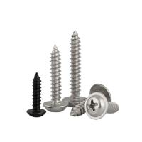 China Stainless Steel DIN7981 Phillips Pan Head Self Tapping Screws for Wood Metal 100 Percent Inspection for sale