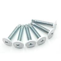 China ISO9001 Certified Wafer Head Self Drilling Screw Carbon Steel Stainless Steel Custom Colors for sale