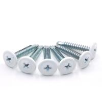 China ISO9001 Certified C1022 Self Drilling Screw Truss Head Zinc Plated Carbon Steel for sale