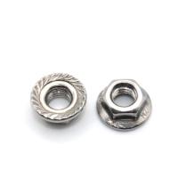 China Metric Hex Flange Nut M6 M8 M10 M12 Stainless Steel Carbon Steel ISO 9001 for sale