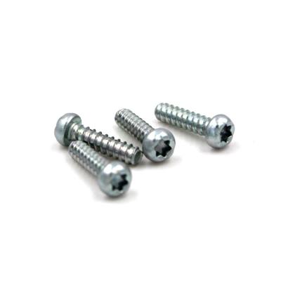 China 100% Inspection Before Shipment Customize Support Zinc Plated M4 Torx Self Tapping Screw for sale