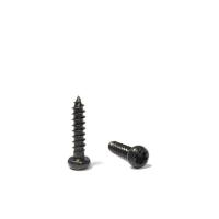 China DIN Standard Steel Torx Pan Head Self-Tapping Screw Metric M3 M4 M5 Custom Design for sale