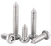 China Custom Stainless Steel Torx Pan Head Machine Screws Metric DIN ISO GB M2 M3 M4 M5 M6 for sale
