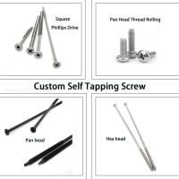 China SS304 Stainless Steel Self Tapping Screws ISO9001 2015 Metric Torx Hex Phillips for sale