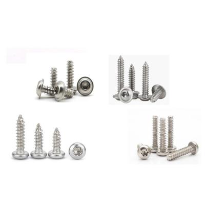 China Passivated Stainless Steel Torx Wood Screw M2-M20 Cross Pan Head Self Tapping Screw for sale