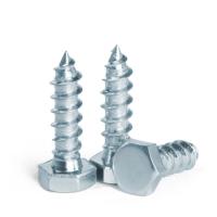 China Hex Head Wood Screw Din571 Lag Bolt Coach Screw Carbon Steel Stainless Steel M6 M8 M10 for sale