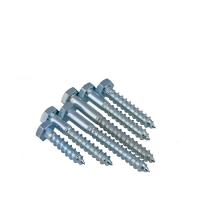China Hex Head Wood Screw Din571 Lag Bolt Coach Screw Carbon Steel Stainless Steel M6 M8 M10 for sale