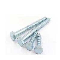 China Hex Head Wood Screw Din571 Lag Bolt Coach Screw Carbon Steel Stainless Steel M6 M8 M10 for sale