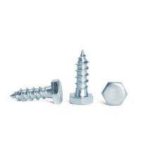 China Hex Head Wood Screw Din571 Lag Bolt Coach Screw Carbon Steel Stainless Steel M6 M8 M10 for sale