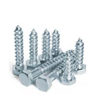 China Hex Head Wood Screw Din571 Lag Bolt Coach Screw Carbon Steel Stainless Steel M6 M8 M10 for sale