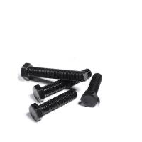 China M10 M12 M16 M20 Grade 8.8 Hex Bolt and Nut Galvanized Carbon Steel ISO9001 for sale